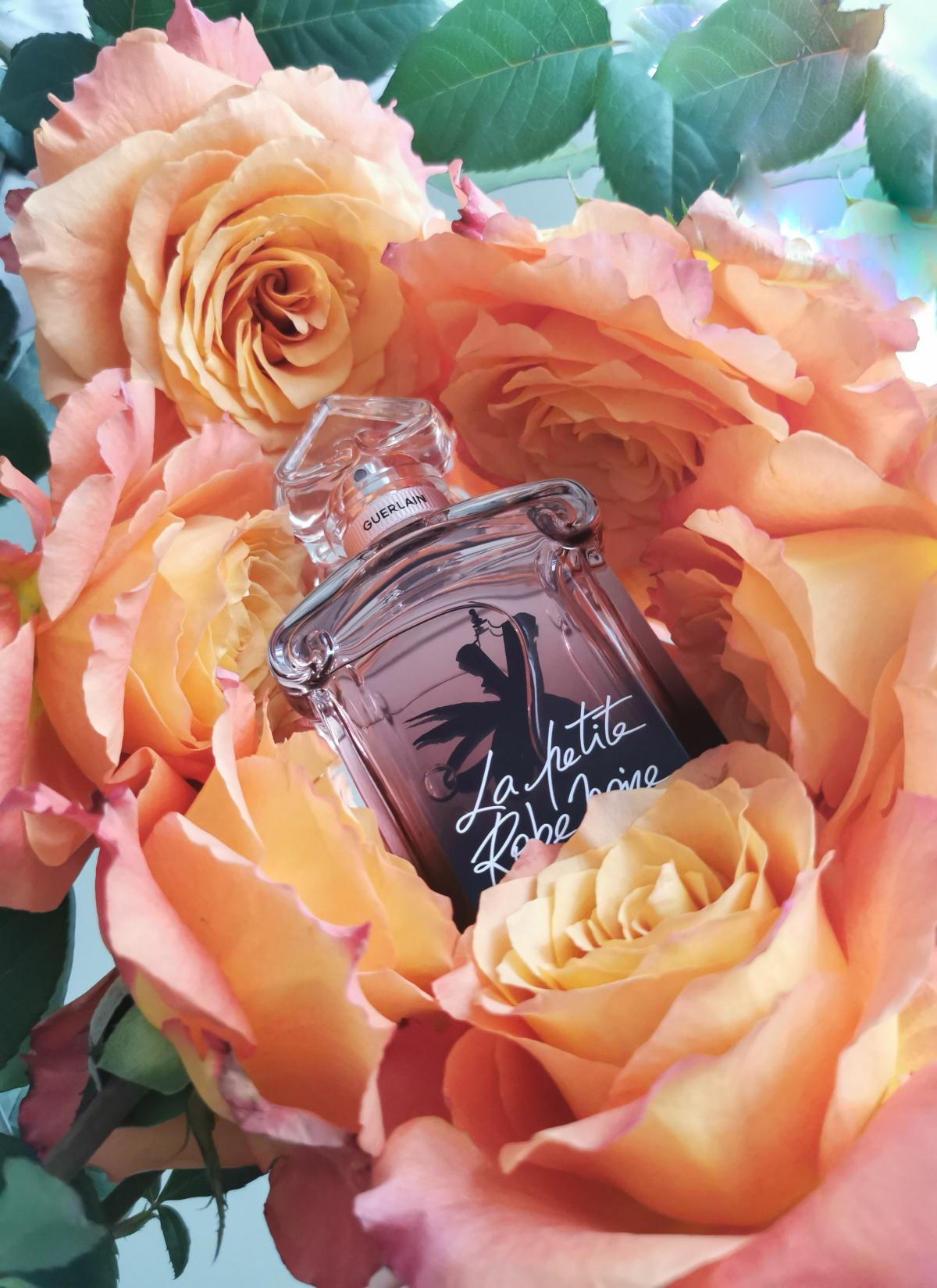 La Petite Robe Noire Eau de Parfum Intense Guerlain perfume - a novo ...