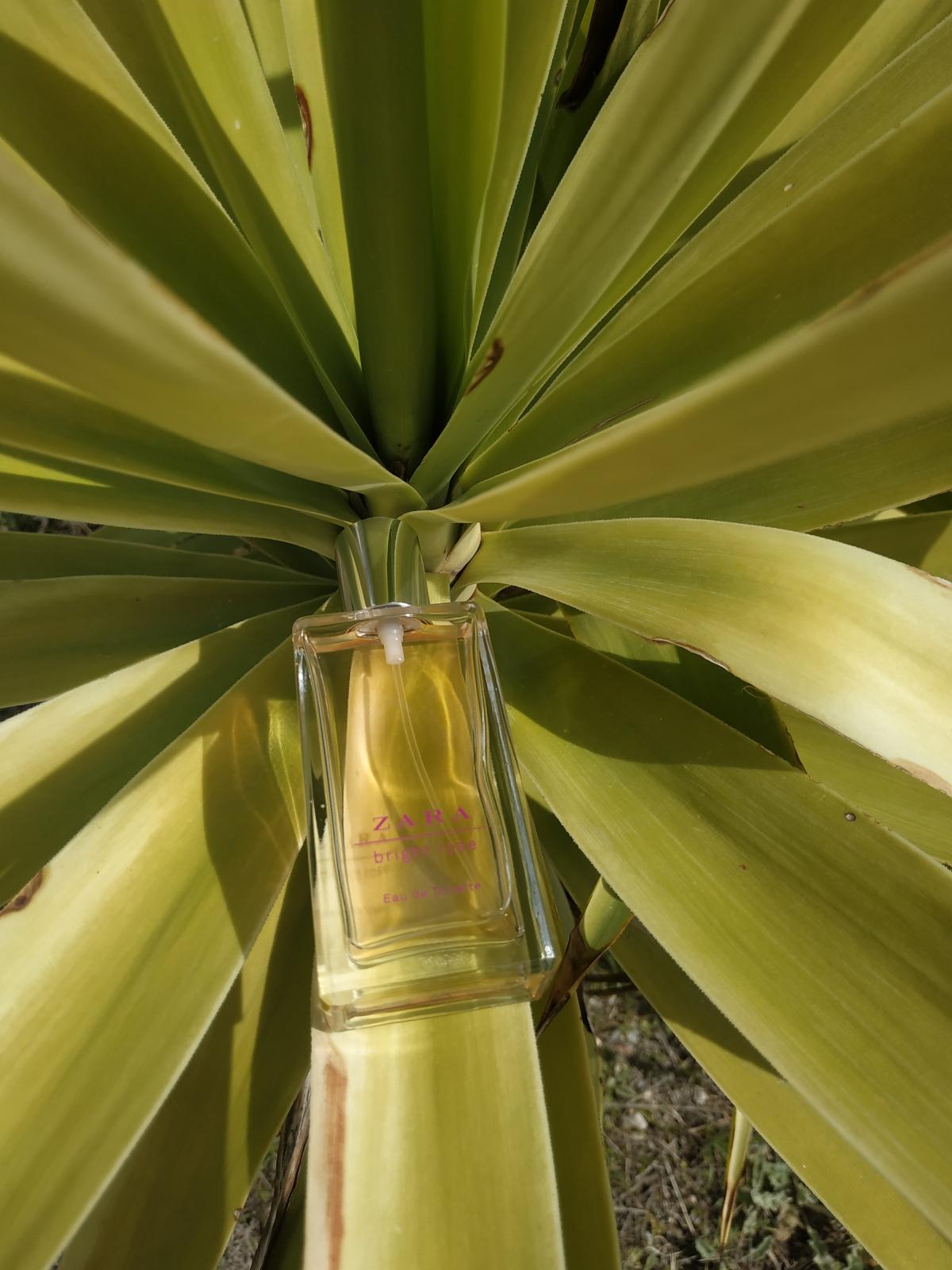 Zara Bright Rose Zara аромат — аромат для женщин 2014