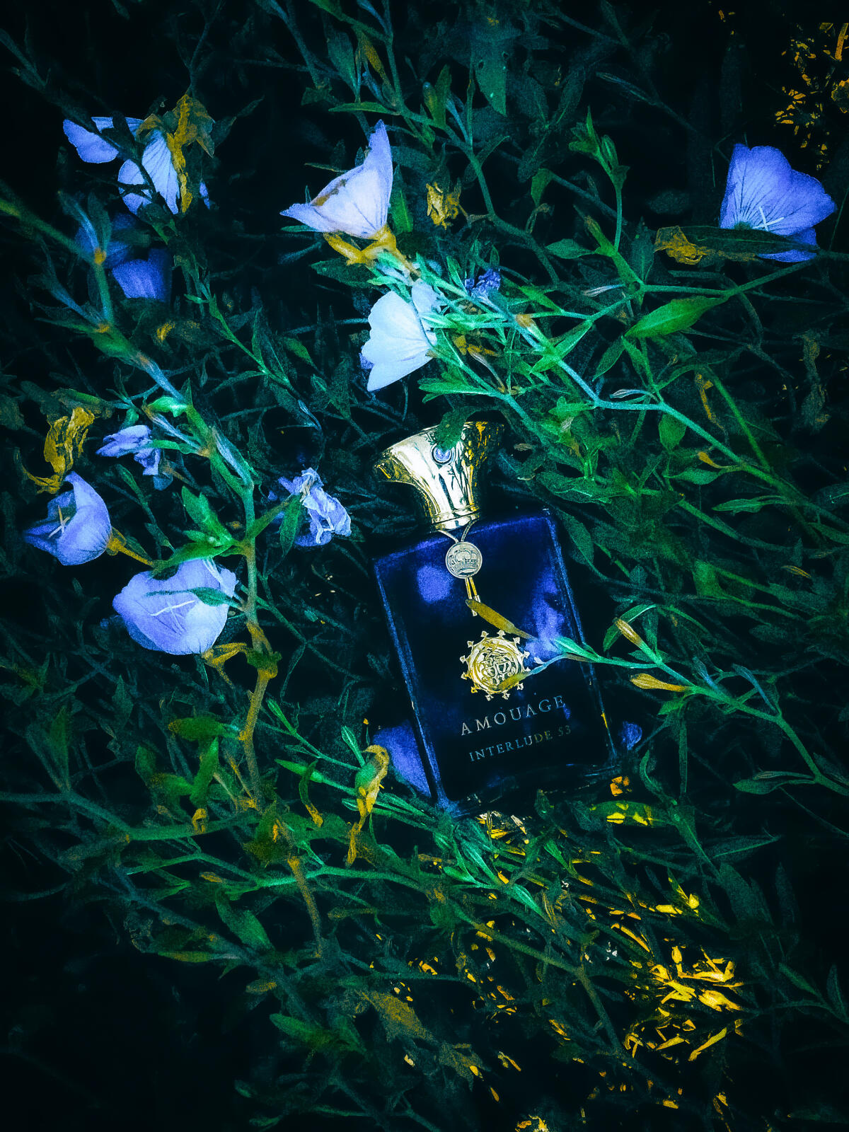 Interlude 53 Man Amouage Colonia - una fragancia para Hombres 2020