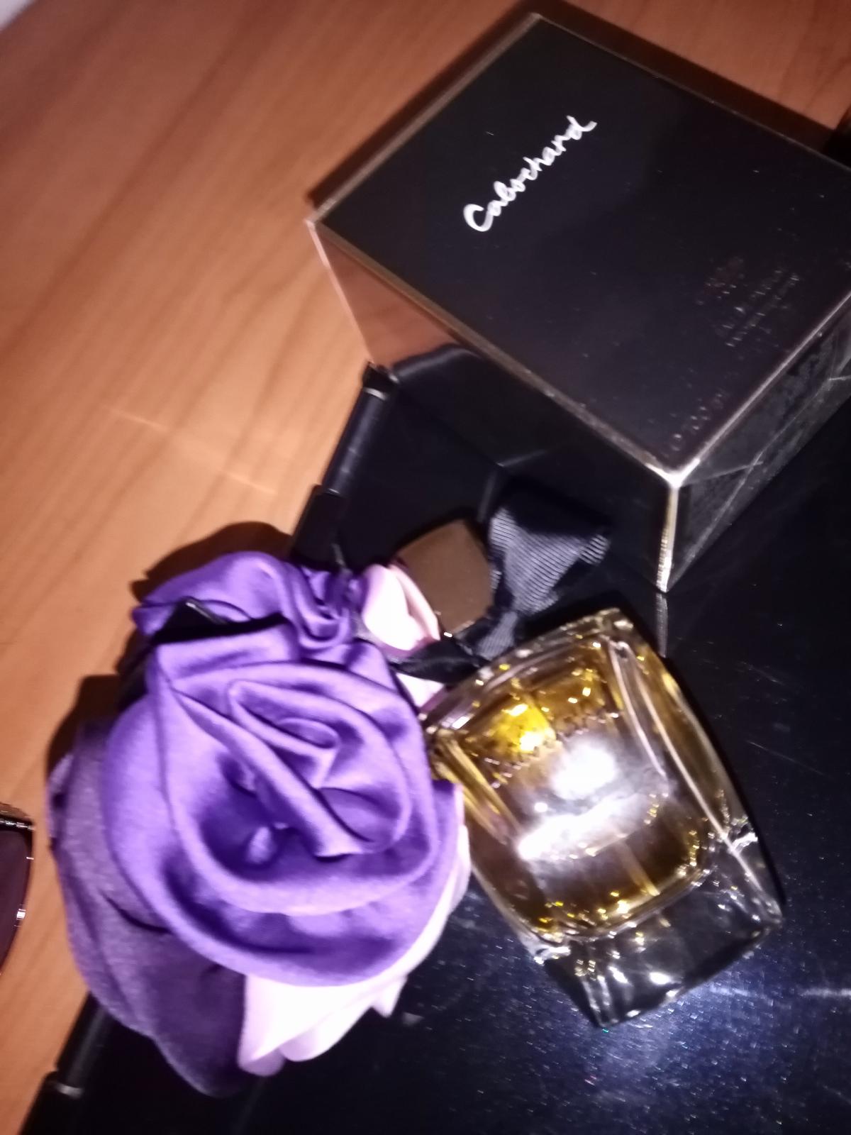 Cabochard Eau de Parfum 2019 Grès fragancia - una fragancia para ...