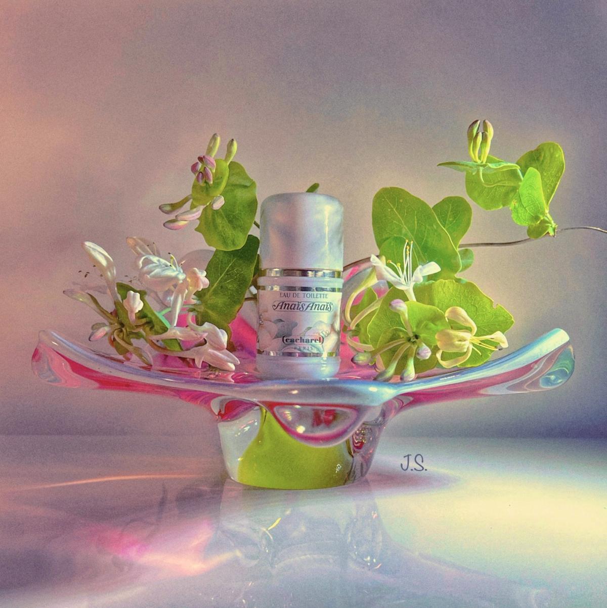 Anais Anais Cacharel аромат — аромат для женщин 1978