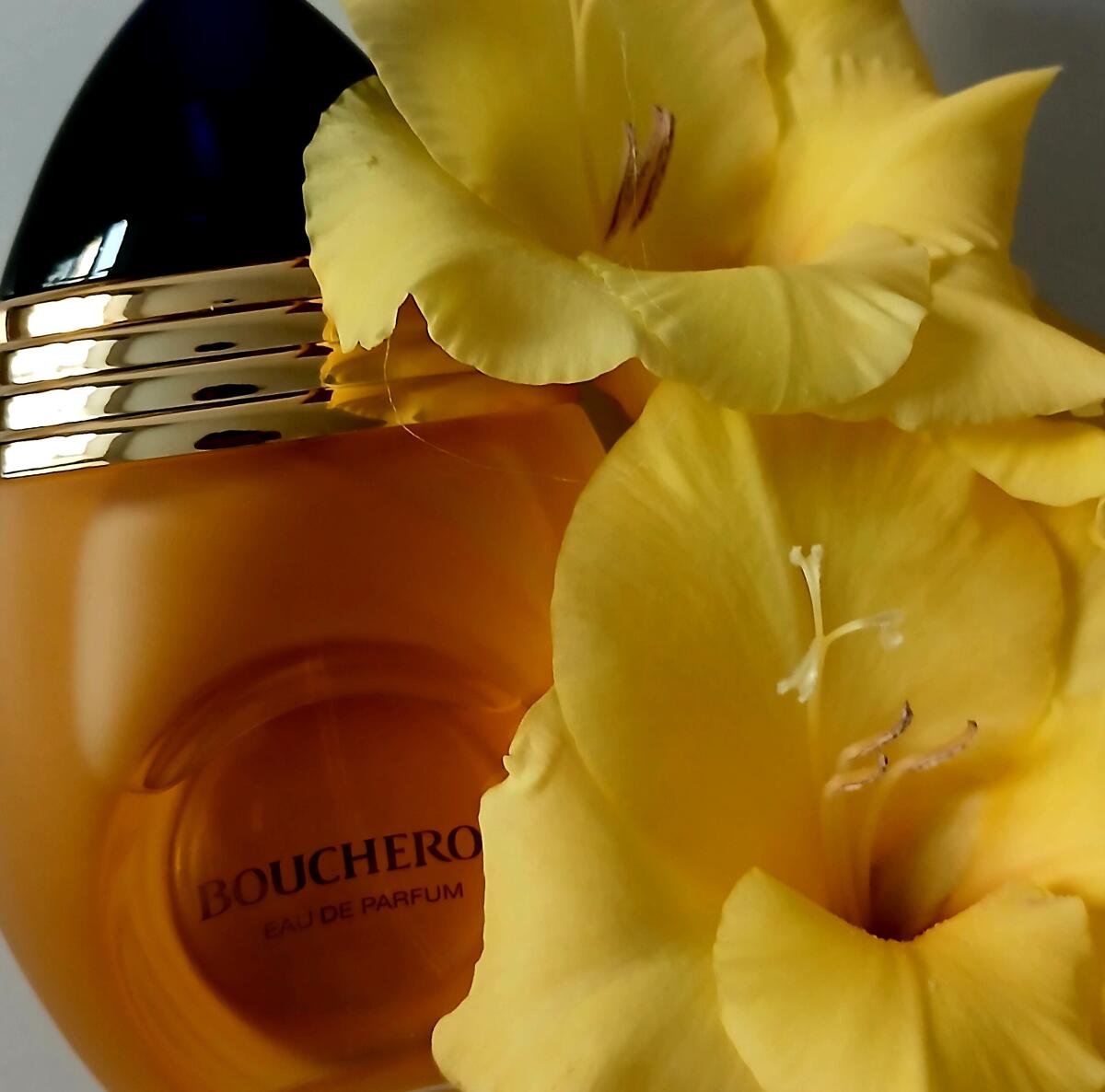 Boucheron Boucheron perfume - a fragrância Feminino 1988
