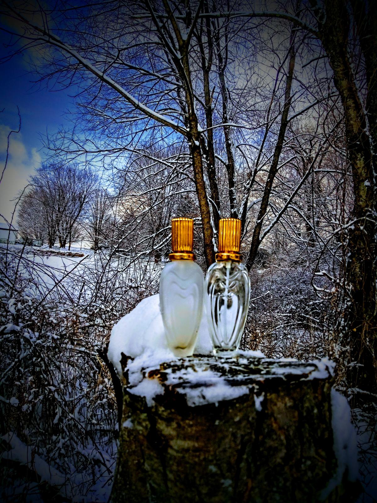 Escada Margaretha Ley Escada άρωμα - ένα άρωμα για γυναίκες 1990