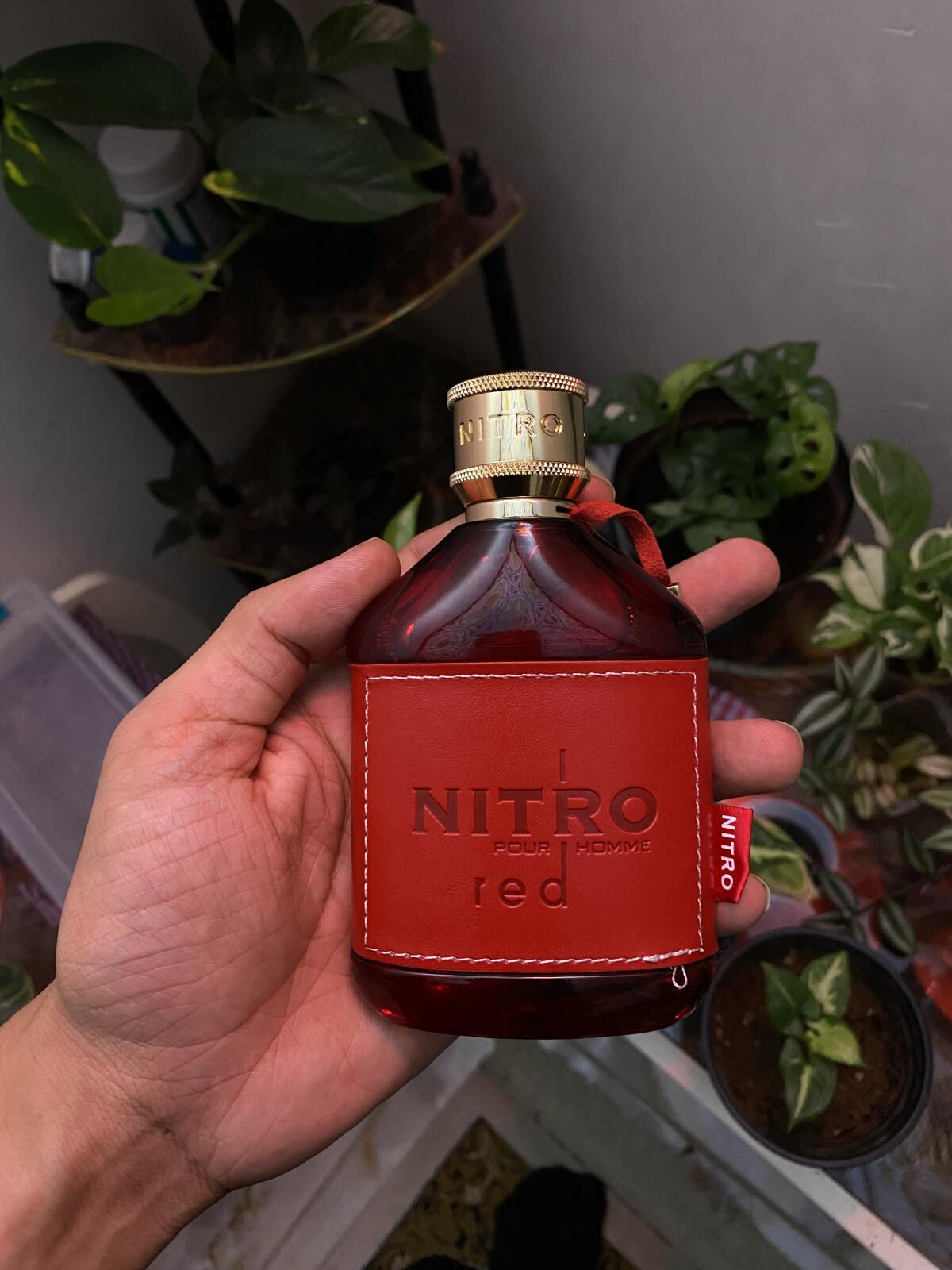 Nitro Red Dumont Colônia - a fragrância Masculino 2020