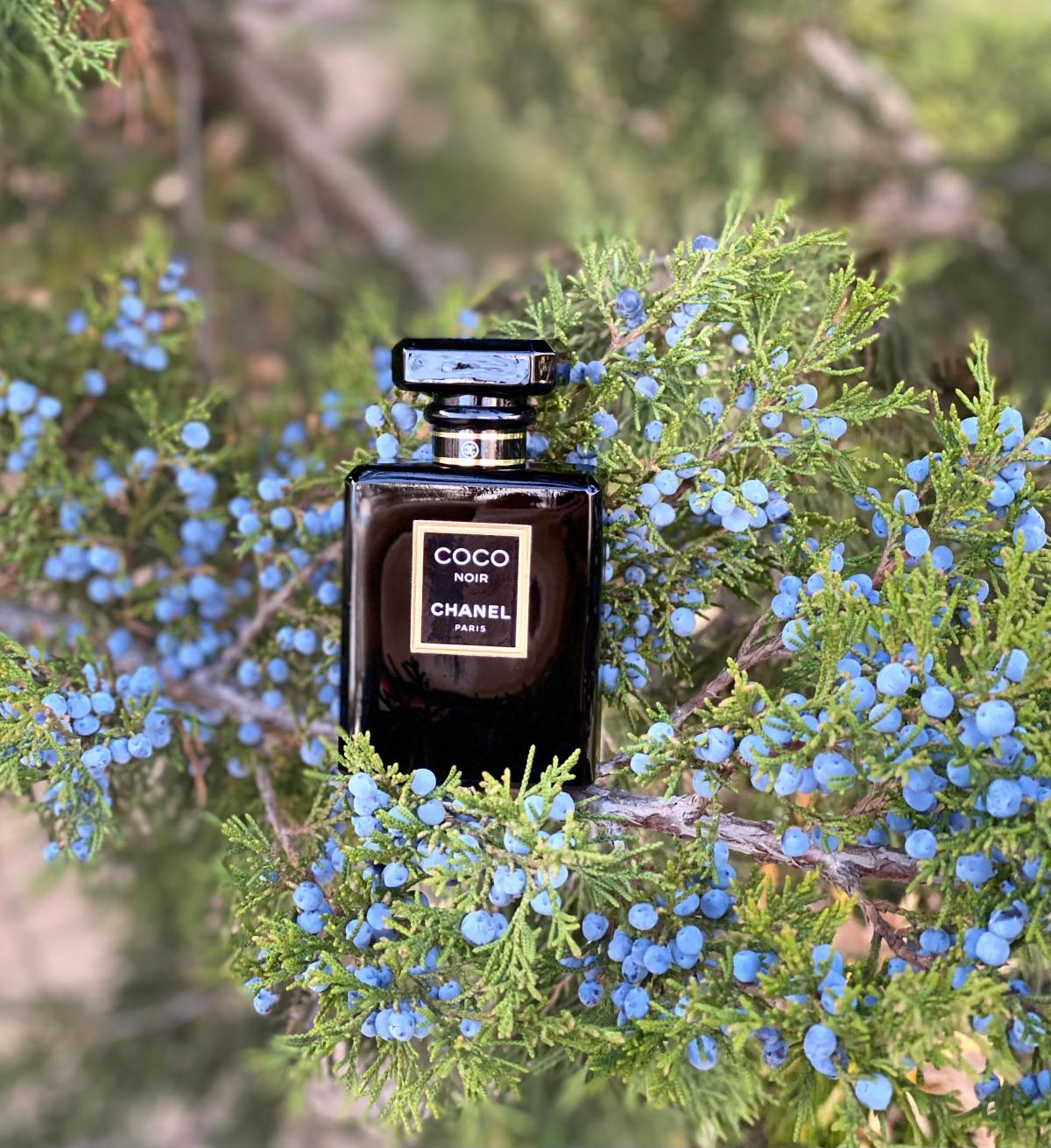 Coco Noir Chanel fragancia - una fragancia para Mujeres 2012