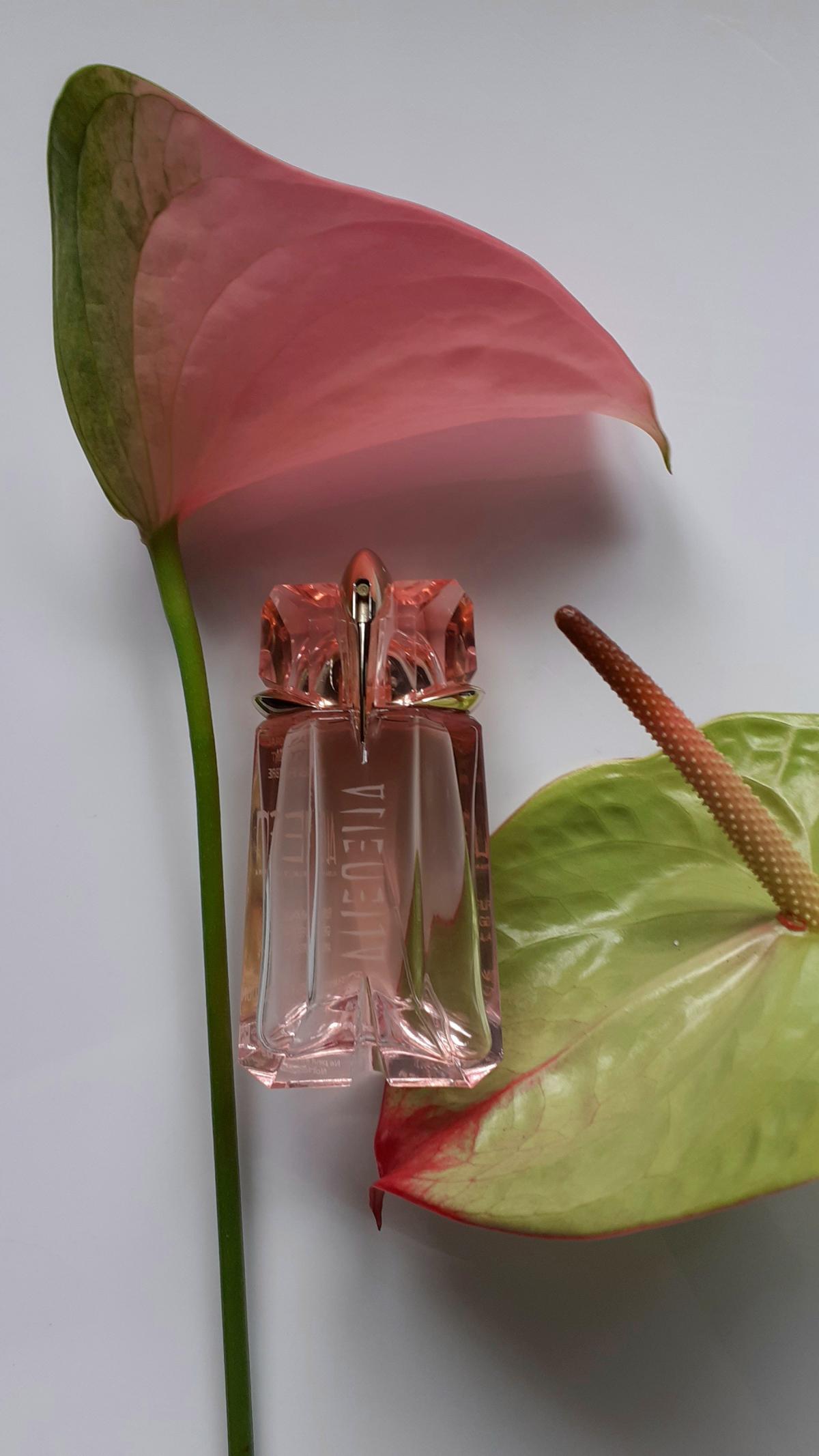 Alien Flora Futura Mugler Parfum - ein es Parfum für Frauen 2018