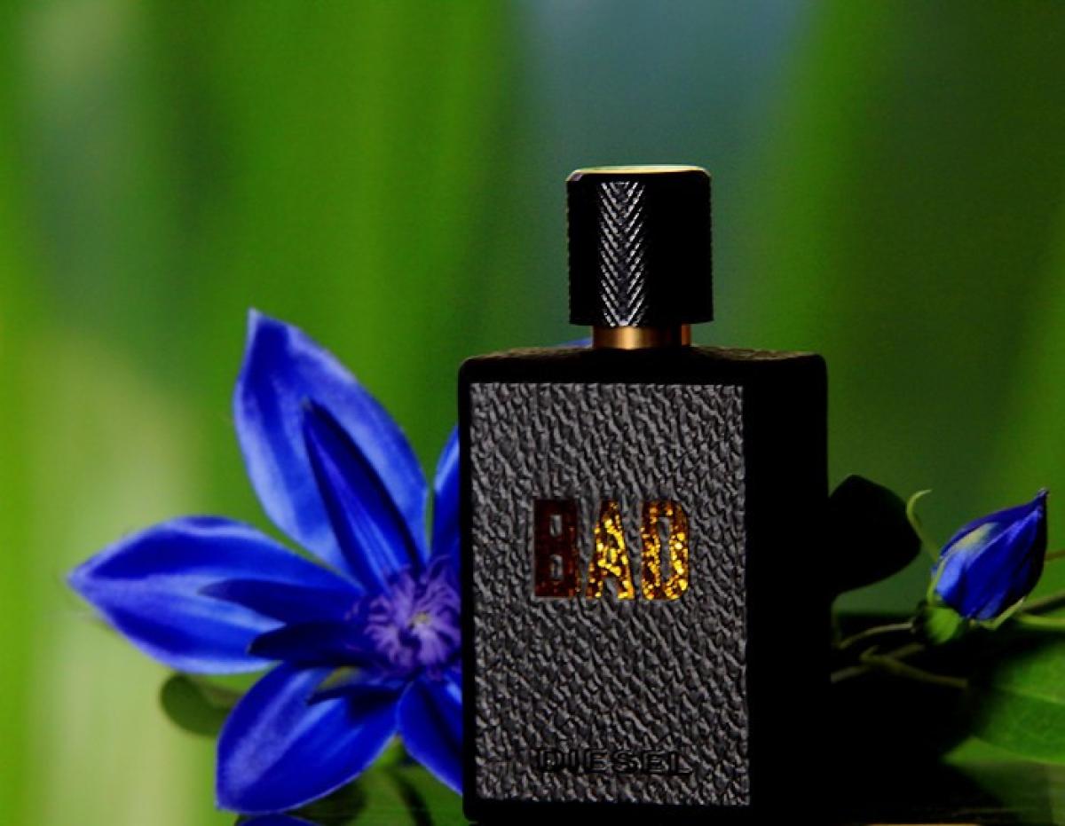 Bad Diesel Colônia - a fragrância Masculino 2016