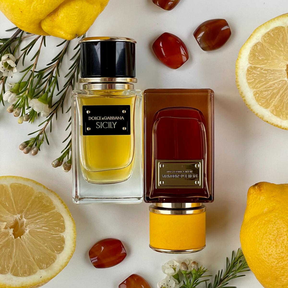 Velvet Amber Skin Dolce&Gabbana parfum - een geur voor dames en heren 2017