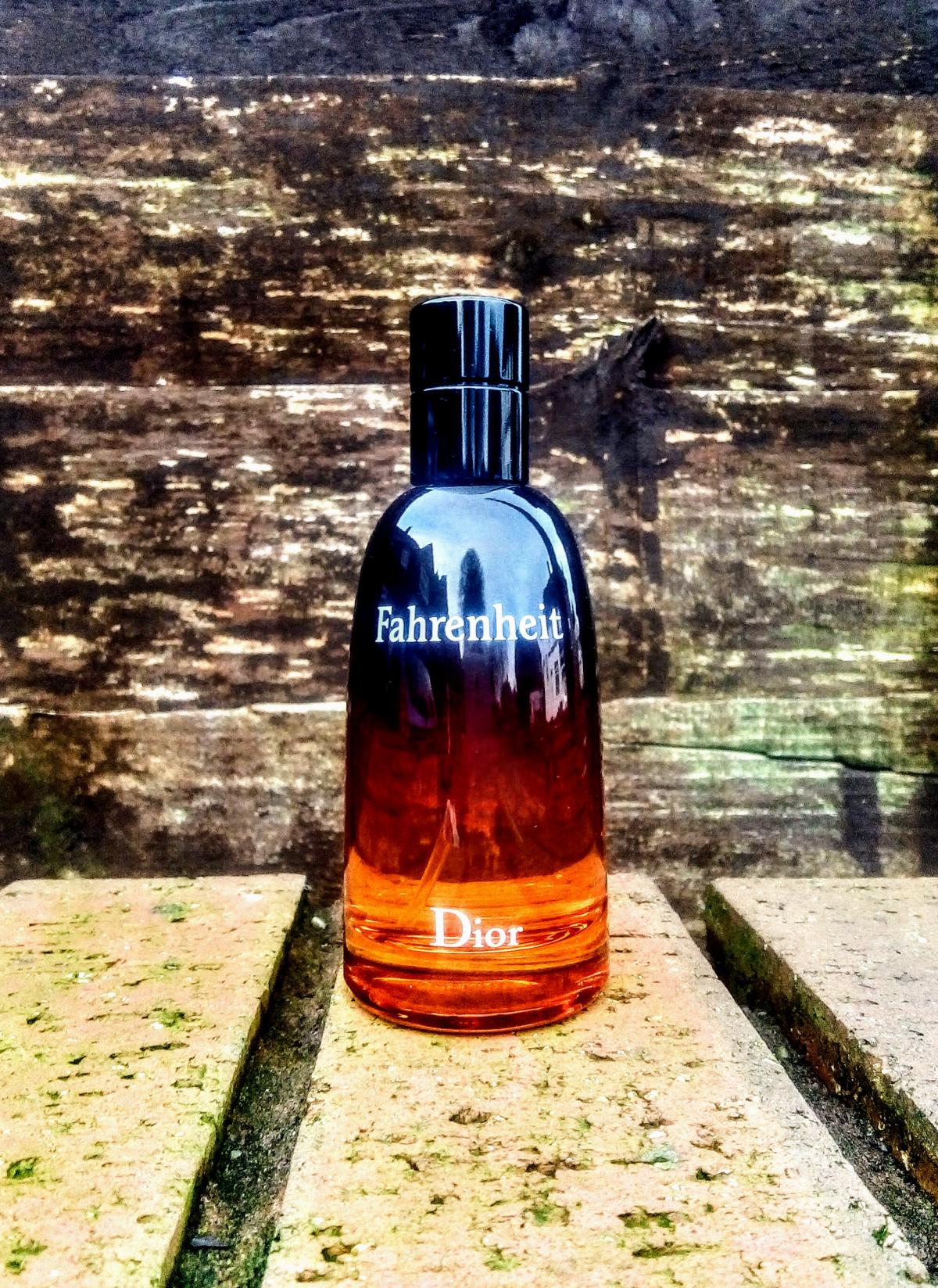 Fahrenheit Dior Colonia - una fragancia para Hombres 1988