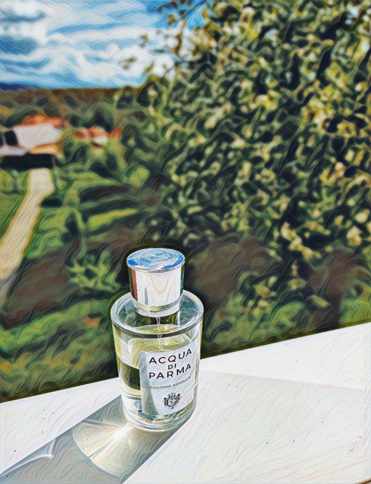 Acqua di Parma Colonia Assoluta Acqua di Parma аромат — аромат для ...