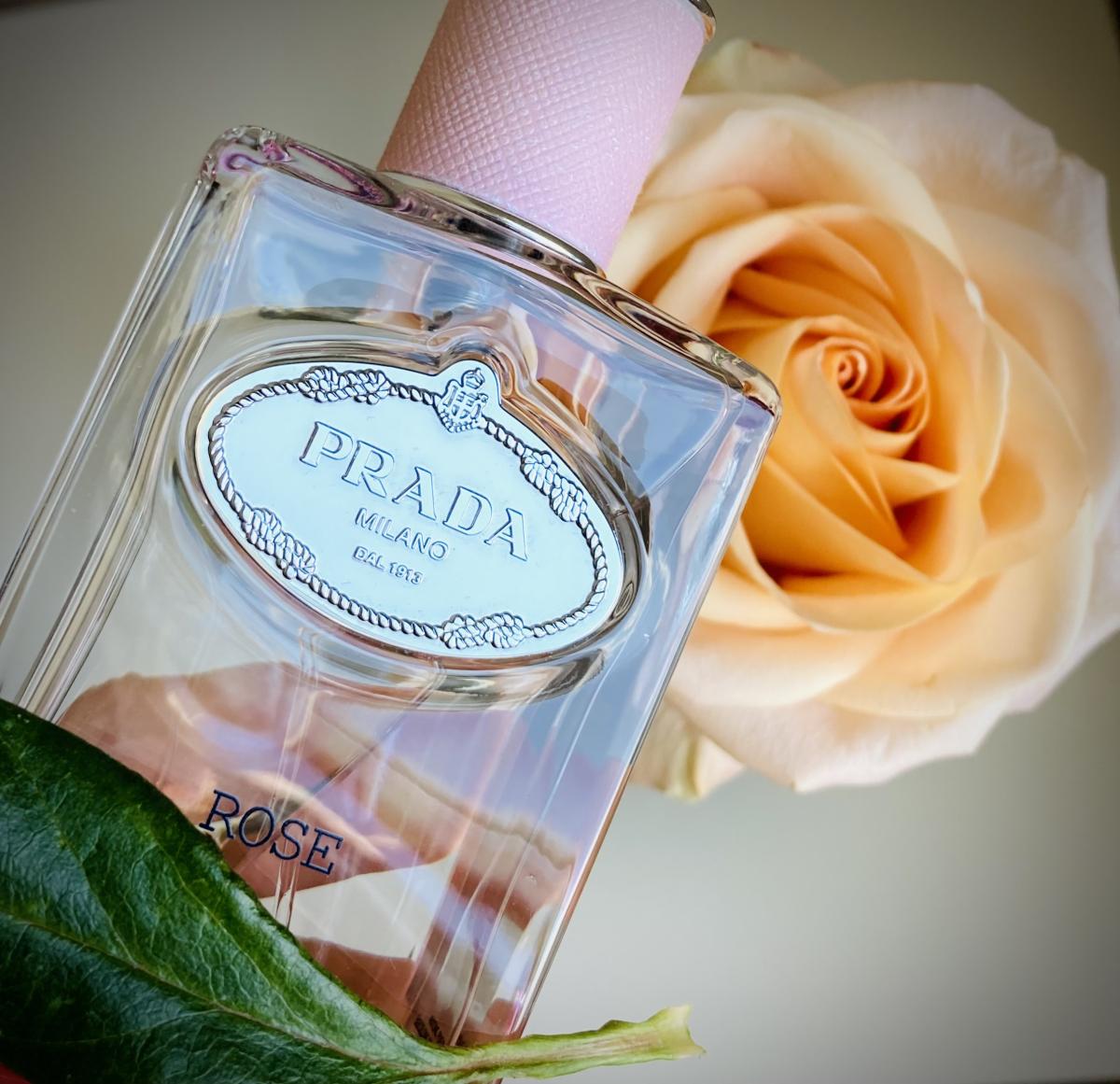 Infusion de Rose (2017) Prada parfum - un parfum pour femme 2017