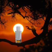 Sun Jil Sander parfum - een geur voor dames 1989