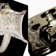 Cooper Square Bond No 9 fragancia - una fragancia para Hombres y ...