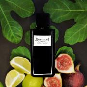 Subversif Brecourt аромат — аромат для мужчин и женщин 2016