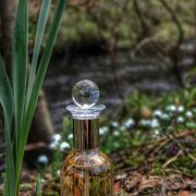 Splendor Elizabeth Arden perfume - a fragrância Feminino 1998