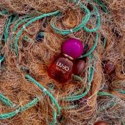 Silkway Liu Jo perfumy - to nowe perfumy dla kobiet 2023