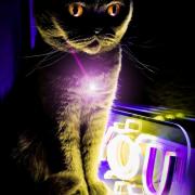 Chill AF Addison Rae Parfum - ein neues Parfum für Frauen 2023