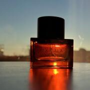 Akigala Mandarino New Notes аромат — новый аромат для мужчин и женщин 2024