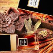 Coco Eau de Parfum Chanel fragancia - una fragancia para Mujeres 1984