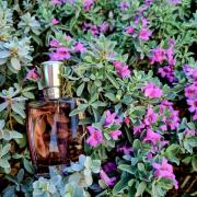 Miracle Lancôme άρωμα - ένα άρωμα για γυναίκες 2000