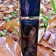 Dior Addict Dior - una fragranza da donna 2002