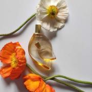 Summer by Kenzo Kenzo άρωμα - ένα άρωμα για γυναίκες 2005