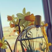 Summer by Kenzo Kenzo άρωμα - ένα άρωμα για γυναίκες 2005