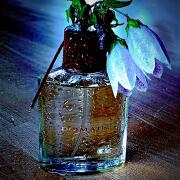 Domain Mary Kay Colonia - una fragancia para Hombres 2000