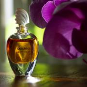 Amarige Givenchy fragancia - una fragancia para Mujeres 1991