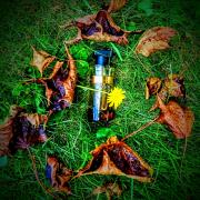 Field Notes From Paris Ineke fragancia - una fragancia para Hombres y ...