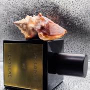 Followed Kerosene perfume - a novo fragrância Compartilhável 2022