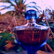 Shalimar Souffle de Parfum Guerlain parfem - parfem za žene 2014