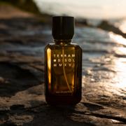 TERRAM D:SOL MMXVI аромат — аромат для мужчин и женщин 2020