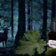 Aran Prin perfume - a fragrância Compartilhável 2020