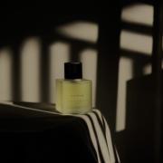 Fanfare Thameen fragancia - una nuevo fragancia para Hombres y Mujeres 2023