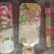 Brightest Bloom Bath & Body Works fragancia - una nuevo fragancia para ...