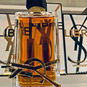 Libre Intense Yves Saint Laurent perfume - a fragrância Feminino 2020