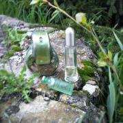 Spring Fever Origins عطر - a fragrance للنساء 1995