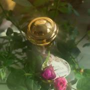 Rose Splendide Goutal perfume - a fragrância Feminino 2010