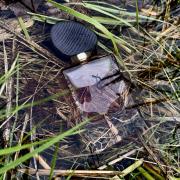 Illuminating Rose Tree Of Life аромат — новый аромат для женщин 2023