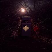 Side Effect Initio Parfums Prives fragancia - una fragancia para ...