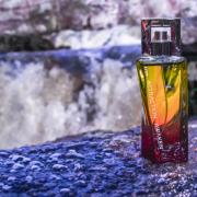 Attraction Awaken For Her Avon fragancia - una nuevo fragancia para ...