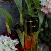 Cabochard Grès parfem - parfem za žene 1959