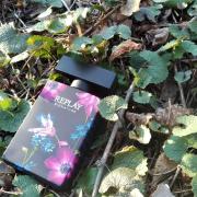 Replay Signature for Women Replay parfem - parfem za žene 2017