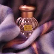 Florence Tocca аромат — аромат для женщин 2006