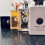 Reflection 45 Man Amouage zapach - to nowe perfumy dla mężczyzn 2021