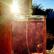 Miracle Lancôme άρωμα - ένα άρωμα για γυναίκες 2000