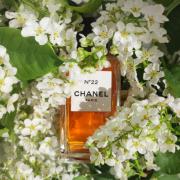 Les Exclusifs de Chanel No 22 Chanel parfum - een geur voor dames 1922