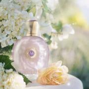 Rand Rose Moresque perfume - a novo fragrância Compartilhável 2023