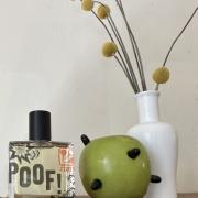 Poof! FZOTIC perfume - a novo fragrância Compartilhável 2023
